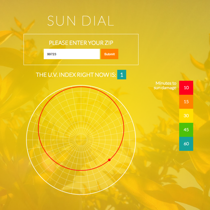 DATA VISUALIZATION - JENNY KNUTH